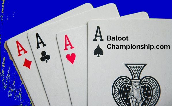 Baloot - Baloot Championship